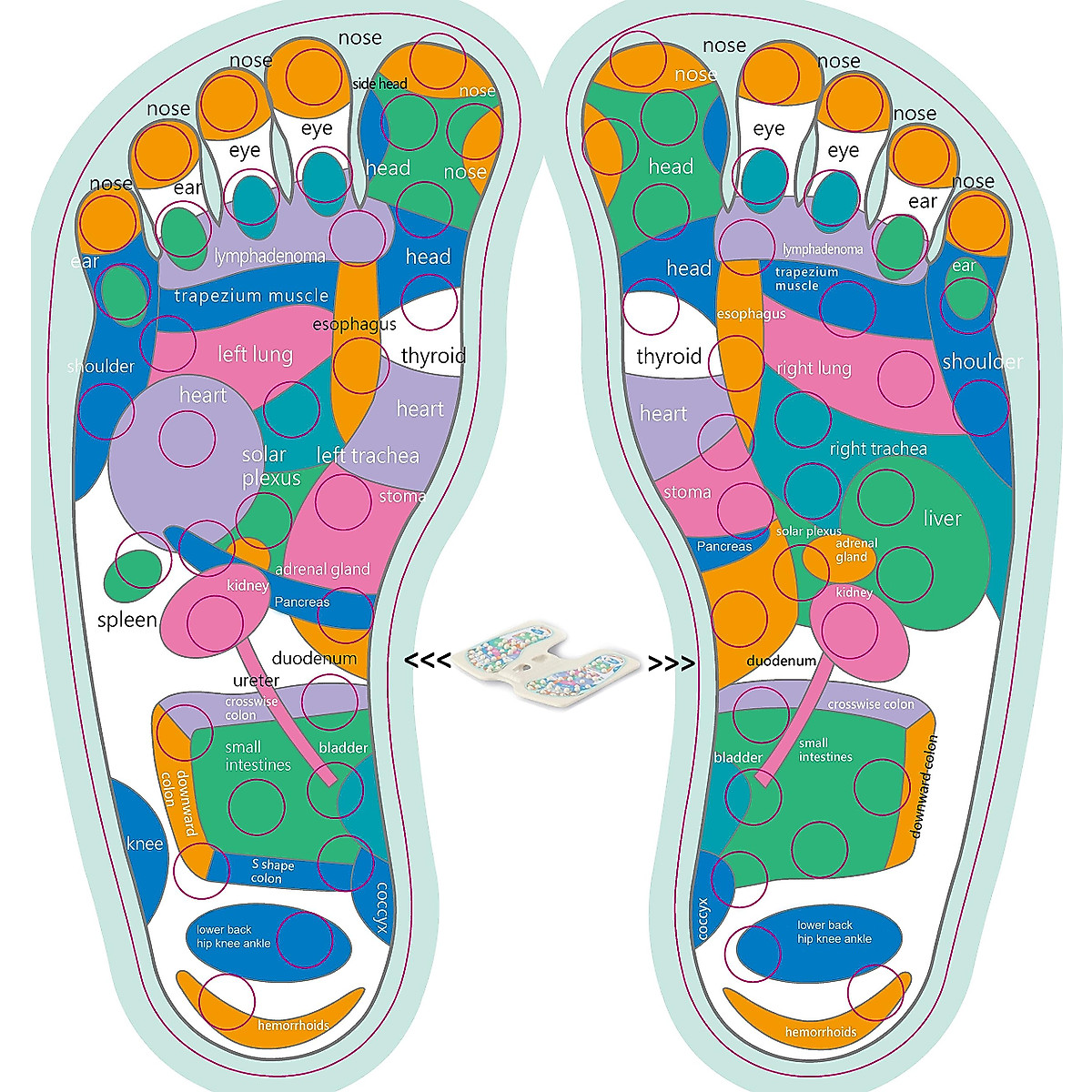 Acupressure Points Stretch Board and Foot Rest
