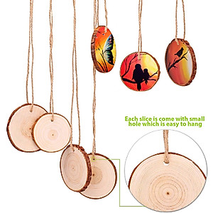 Fuyit Natural Wood Slices 30 Pcs 2.4-2.8 Inches Craft Wood Kit Unfinished Predrilled with Hole Wooden Circles Tree Slices for Arts and Crafts Christmas Ornaments DIY Crafts