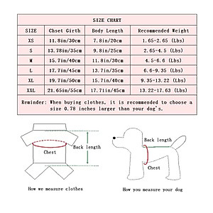 Dog Dresses, Fashion Pet Dog Clothes, Striped Mesh Puppy Dog Princess Dresses (Blue, XX-Large)