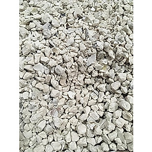 Natural Crushed Oyster Shell with Calcium (4 lb)
