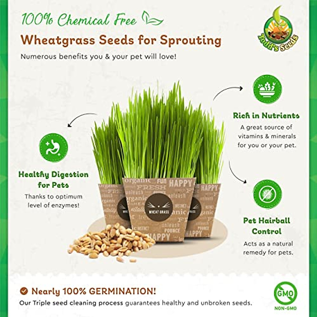 Todd's Seeds Wheatgrass Seeds; Hard Red Winter Wheat, Non-GMO, Chemical Free, High Germination (1/4 Pound)