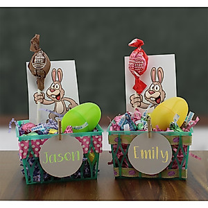 Cornucopia Pint Size Plastic Berry Baskets (48-Pack), 4-Inch Berry Boxes with Open-Weave Pattern, Ideal for Summer Picking & Crafts! (48 Boxes)