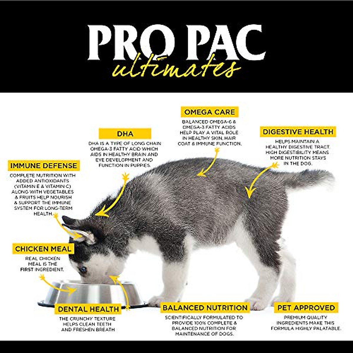 Pro Pac Ultimates Large Breed Puppy Chicken Meal And Brown Rice Dry Dog Food, 28 Lb.