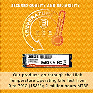 MMOMENT MS23 256GB M.2 2280 SATA III 6Gb/s Internal Solid State Drive SSD (up to 500MB/s)