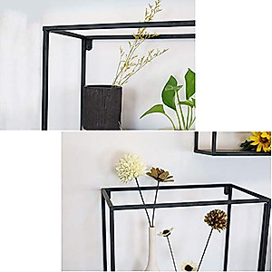PIBM Stylish Simplicity Shelf Wall Mounted Floating Rack Shelves Metal Storage Living Room Background Wall,2 Colors Avaliable,3 Sizes, Black , 46X50X25cm