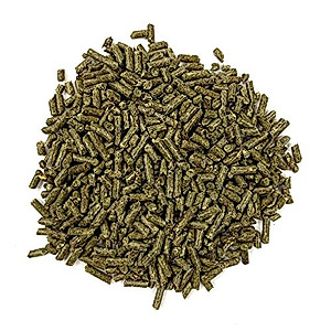 Oxbow Essentials Chinchilla Food - All Natural Chinchilla Food - 10 lb.