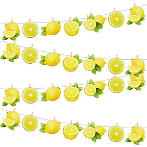 4 Pcs Lemon Banner Citrus Lemonade Party Sign Lemon Party Decorations Yellow Lime Birthday Decorations for Boy Girl Baby Kids DIY First Bday Bridal Kitchen Shower Theme Decor