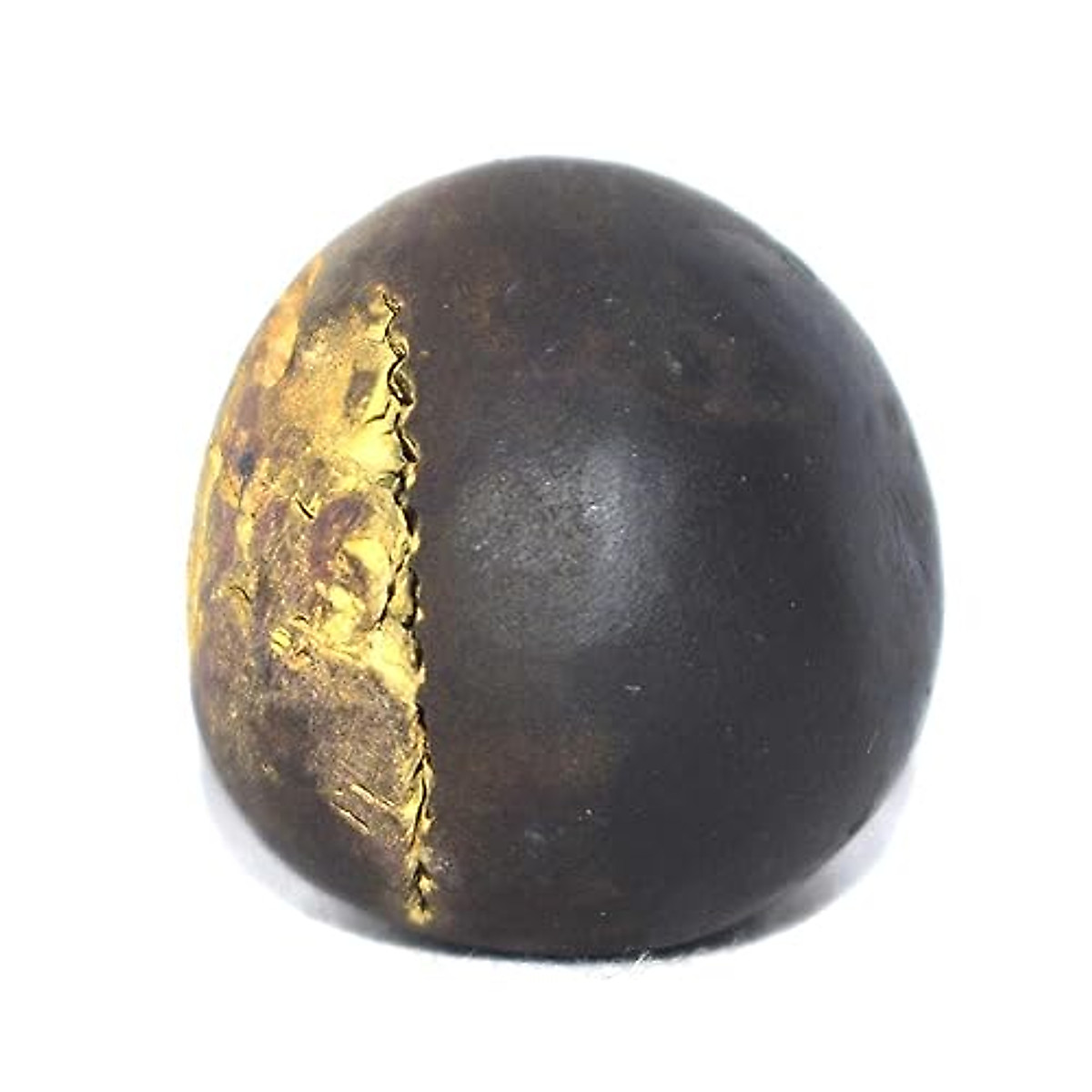Rare Pitambara Shaligram - Gandaki River Nepal