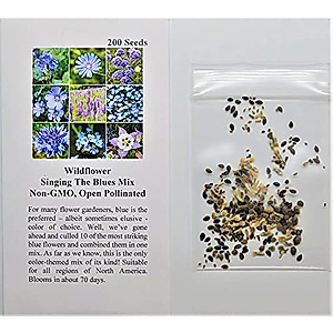 David's Garden Seeds Wildflower Singing The Blues Mix FBA-00079 (Blue) 200 Non-GMO, Heirloom Seeds