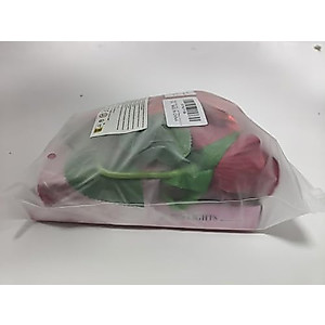 Valentines Day Decoration 1000 Red Rose Petals 50 Heart Candle 20 Heart Balloons LOVE Balloon for Anniversary Wedding Birthday Party Decor Romantic Decorations Special Night for Him Her