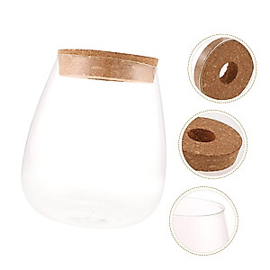 DOITOOL Indoor Propagation Desktop Water Plants Bonsai Home Planter Table Jar for Bottle Containers Nourishing Planting Bottles Microlandscape Small Airtight Flower Station Bryophyte Gift