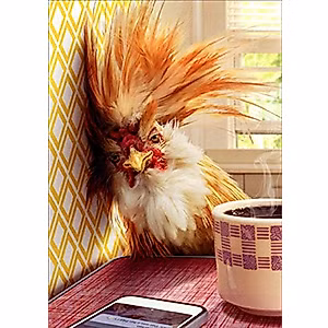 Avanti Press Rooster Hangover Humorous : Funny Birthday Card