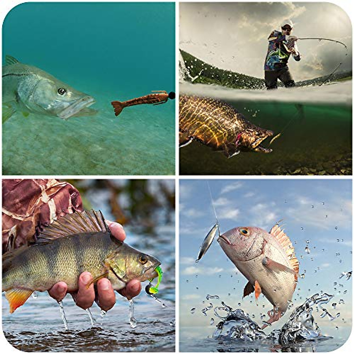 GOANDO Fishing Lures Kit for Freshwater Bait Tackle Kit for Bass Trout Salmon Fishing Accessories Tackle Box Including Spoon Lures Soft Plastic Worms Crankbait Jigs Hooks