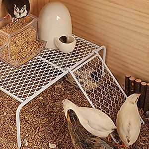 Zerodeko Chick Perch Chick Toys Chicken Coop Rest Platform Coop Brooder Roosting Bed Chicken Wooden Jungle for Large Birds Hens Parrots Macaw Cage