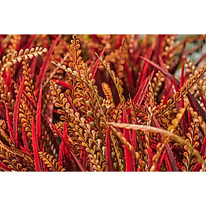 ALLUWONT Artificial Plants Greenery, Fake Fern Bush Plant Bushes Faux Outdoor UV Resistant Shrubs Plants Outside Hanging Planter Home Garden Decor(125M,Style,2)