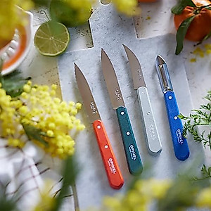 Opinel Les Essentials Small Kitchen 4 Piece Knife Set - Paring Knife, Serrated Knife, Peeler, Vegetable Knife, Corrosion Resistant High Carbon Steel, Made in France (Art Deco)