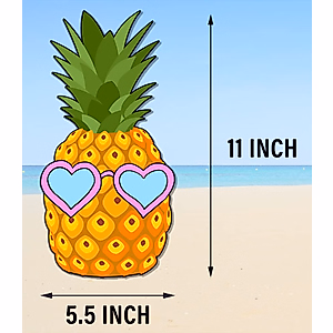 Cruise Door Decorations Pineapple, Funny Magnetic Cruise Decorations for Cabin Door or Stateroom…