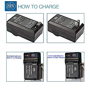 BM Premium 2 Pack of DMW-BCM13E Batteries and Charger for Panasonic Lumix DC-TS7,DMC-FT5A, LZ40, TS5, TS6, TZ37, TZ40, TZ41, TZ55, TZ60, ZS27, ZS30, ZS35, DMC-ZS40, DMC-ZS45, DMC-ZS50 Digital Cameras
