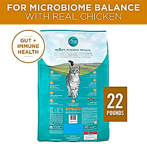 Purina ONE Natural Dry Cat Food, Tender Selects Blend With Real Chicken - 22 lb. Bag