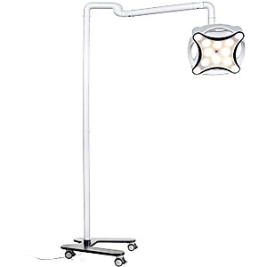 EustomA 30W LED Shadowless Light Mobile Type Portable Auxiliary Floor Lamp LED Cold Lamp with 12PCS High Power Light Sources