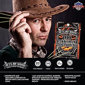 BiteMyWood Cinnamon Toothpicks For Adults Long Lasting Super Hot And Spicy Cinnamon Flavored Toothpicks Perfect For Someone Trying To Quit Smoking Lip Tingling Cinnamon Flavor (300 Picks)