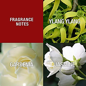 Women's Perfume, Fragrance by Paul Sebastian, Day or Night Soft Floral Scent, DESIGN, 3.4 Fl Oz