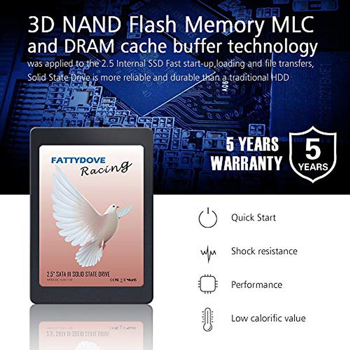 FATTYDOVE 2.5 inch SSD 120GB Internal Solid State Drive SATA3 SSD Drive 2.5 inch 6Gb/s for PC/Laptop with SATA III Cable (120GB SSD Drive)