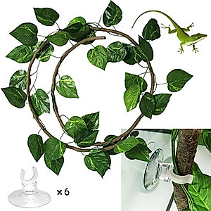 kathson Bearded Dragon Hammock Reptile Plant Hanging Terrarium Boston Plant Jungle Climber Vines Flexible Leaves Lizards Habitat Decor Accessories Coconut Hide for Chameleon Gecko Snakes 5PCS