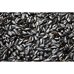 Flying Colors Premium Organic Wild Bird Seed | Black Oil Sunflower Seed | USDA Organic Ingredients | Best Seed for Backyard Bird Feeders | 3 Gallon Easy-Pour Carton