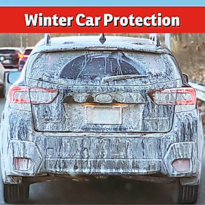 I Must Garden Salt & Brine Remover: Safely Removes Salt and Brine from Vehicles and Marine Equipment – 32oz Concentrate w/Hose End Sprayer