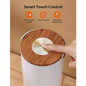 sympa Cordless Table Lamp - 10 Inch Rechargeable LED Desk Lamp, Dimming Bedside Table Lamp for Bedroom and Office, Portable Touch Table Lamp for Outdoor & Camping, 360° Eye-Care Lighting