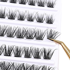 SQYlashes Eye Lash Clusters D Curl, Individual Lashes Cluster Eyelash Extensions, 100PCS Natural DIY Lash Extensions at Home (D24, Mix 8-16mm)