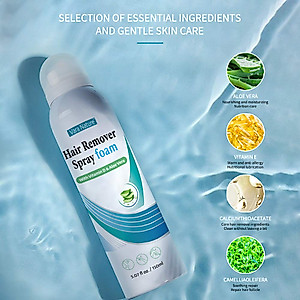 Premium Hair Removal Spray Foam | Body & Intimate Hair Removal Cream for Women & Men | Painless Depilatory Cream with Aloe Vera & Vitamin E | Vara Nature