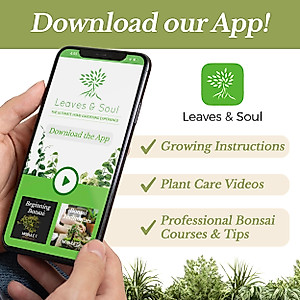 Indoor Plant Soil Premium All Purpose Blend | Large 2.2 Quarts | Ready to Use for Indoor Container and Houseplants | Peat, Coco Coir, Perlite, Dolomite | Made in USA