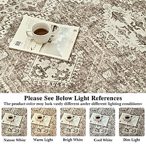 Rugland Area Rug - Stain Resistant Washable Rug, Anti Slip Backing Rugs for Living Room, Vintage Tribal Area Rugs (TPR07-Ivory, 9'x12')