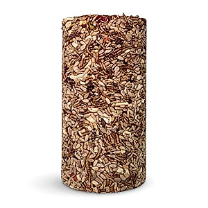 Birdie Blends Birdie Banquet Bugs, Nuts and Fruit Bird Seed 4" Cylinder for Wild Birds (2-Pack)