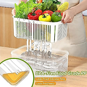 Fruit Storage Containers for Fridge - 10-Piece Kitchen Organizers Leak Proof Produce Saver and Veggie Storage Bins Set for Refrigerator, Plastic Airtight Food Storage Containers with Lids & Handle