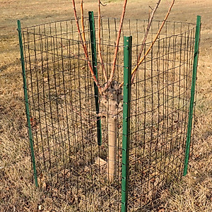 FOREHOGAR Black PVC Coated Welded Wire Fence 24 Inch x 50 Foot, 2 Inch x 3 Inch 16GA, Garden Border Fencing Roll Vinyl Coating Metal Wire Mesh for Yard Vegetable Plant Protection Poultry Netting