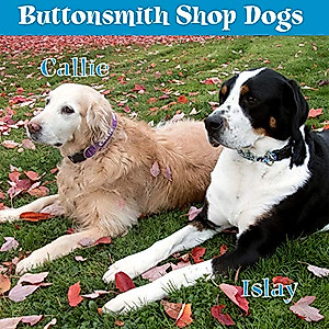Buttonsmith Custom Dog Collar - Fadeproof Printing, Military Grade Buckle, Choice of 6 Sizes, Made in The USA