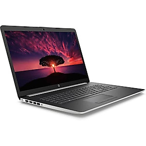HP 17 Business Laptop Computer, AMD Ryzen 5 3500U, 17.3" FHD IPS Display, Windows 10 Pro, 12GB RAM 512GB SSD, AMD Radeon Vega 8 Graphics, Wi-Fi, HDMI, DVD-Writer, Silver, 32GB Durlyfish USB Card