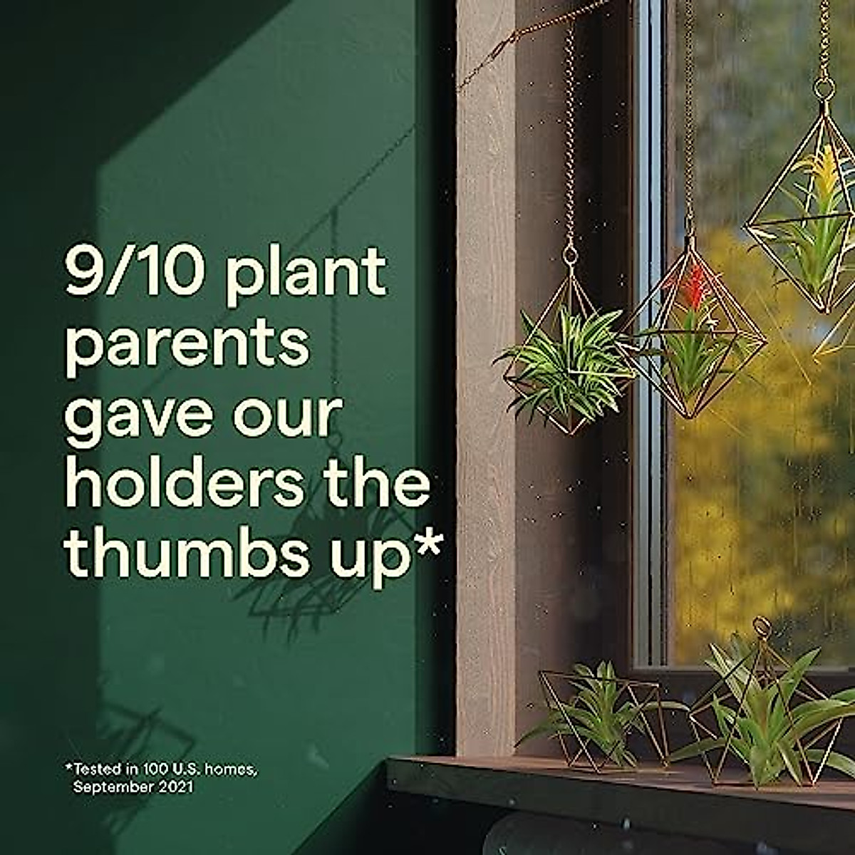 Air Plant Holders w/Hooks & Chains - Indoor Air Plants and Holders Sets, Freestanding & Wall Hanging Planters - 5 Geometric Shapes Air Plant Holder - Hanging Air Plant Holder