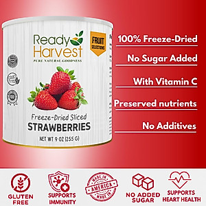 Ready Harvest Freeze Dried Strawberries | Healthy Emergency Snacks | Hurricane preparedness items as survival food | Pantry Staples | #10 Can | 30 Year Shelf Life