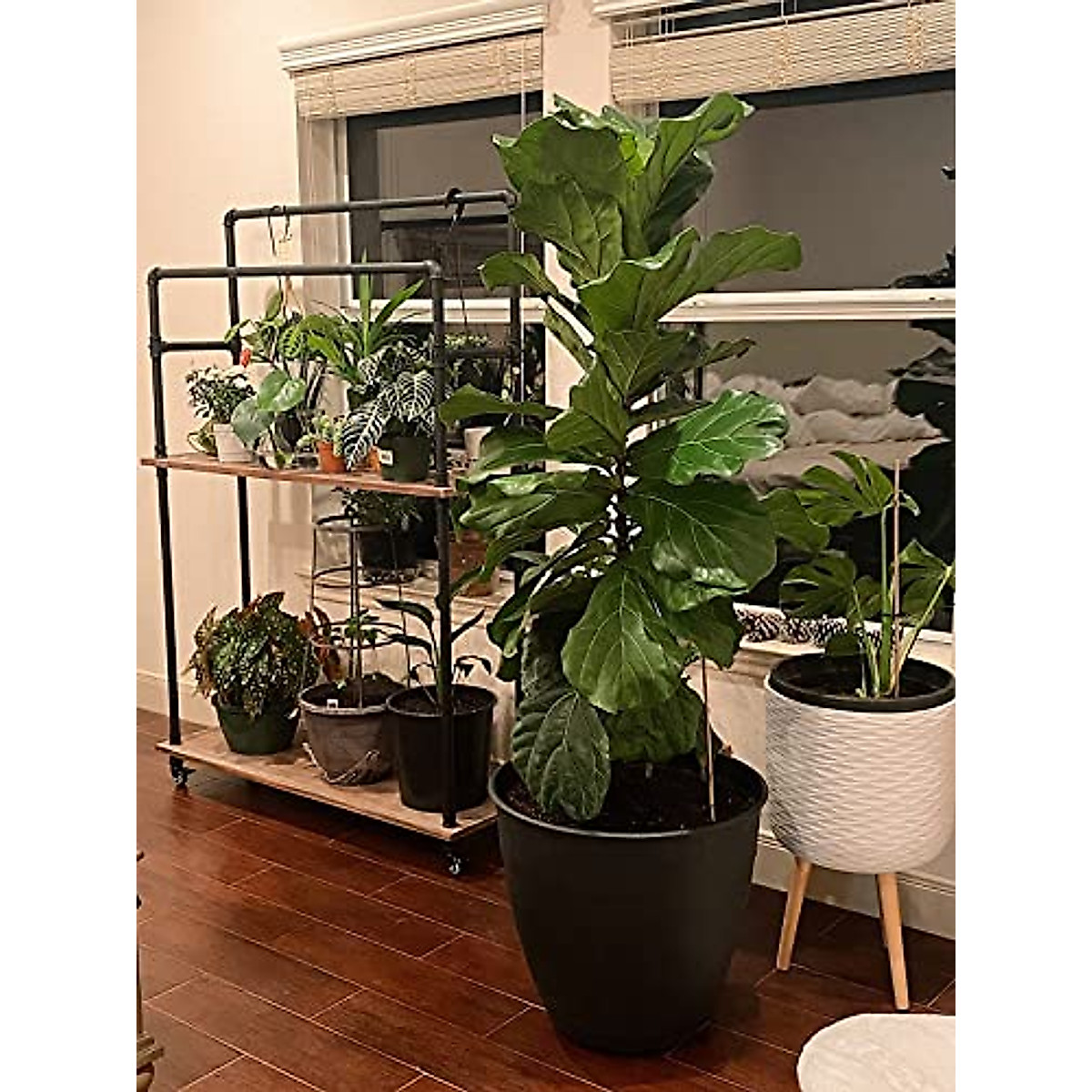 TEDIDUWA Industrial Pipe Clothing Rack,Industrial Clothing Rack with Shelf,Heavy Duty clothes rack on Wheels, Garment Rack Double Hanging Rods,For Bedroom, Lanudry room,Living room, Retail store