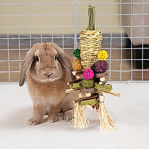 YDFAZXY Bunny Chew Toys, Rabbit Cage Hanging Chew Toys and Treats, Natural Woven Carrot with Snacks for Guinea Pigs Hamsters Chinchillas Rats Gerbils and Other Small Pets Teeth Grinding Toys