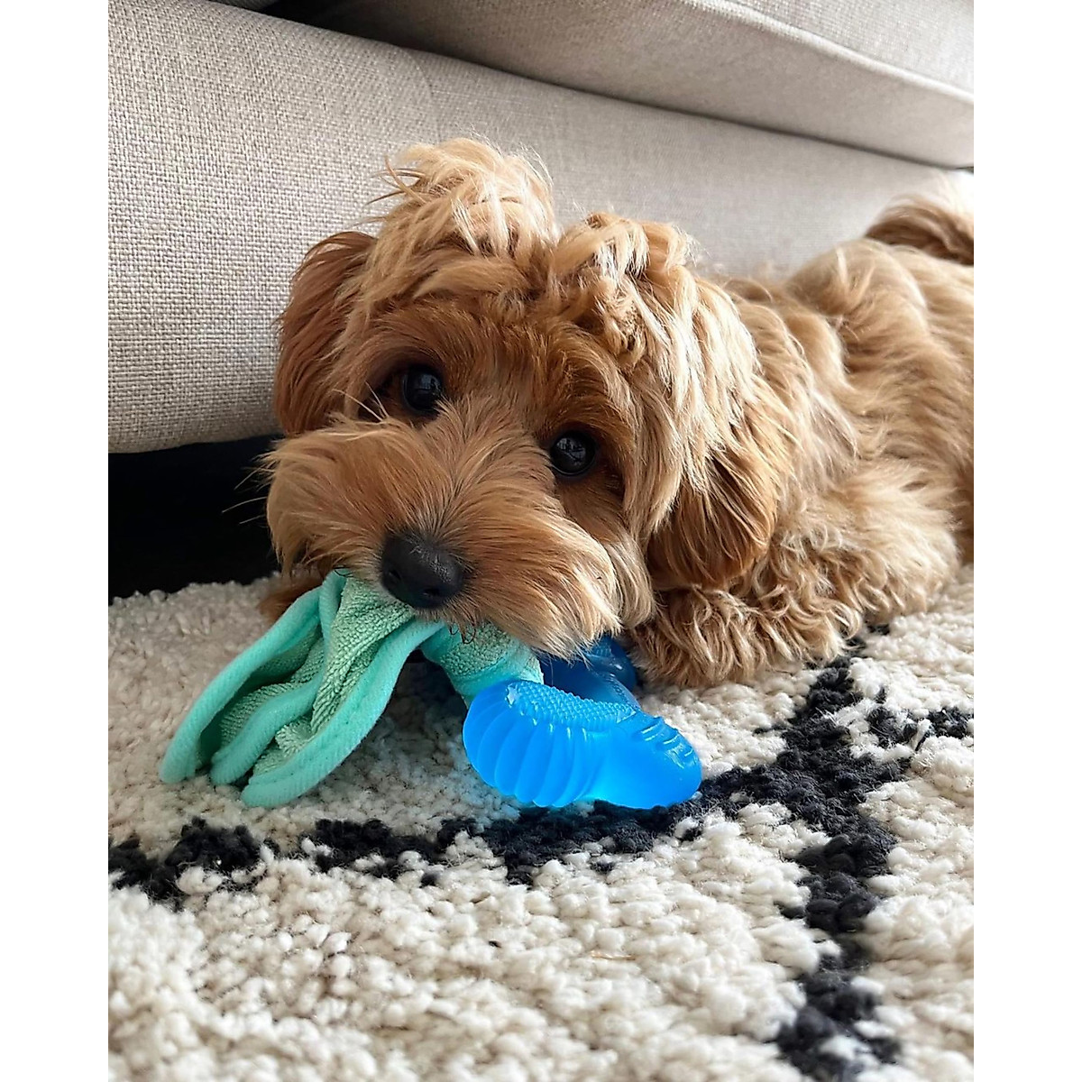 Nylabone Freezer Puppy Chew Toy - Puppy Chew Toy for Teething - Puppy Supplies - Peanut Butter Flavor, Small (1 Count)