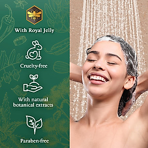 Tio Nacho Mexican Herbs Shampoo Pack of 3