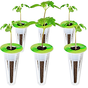 Jetec 100 Pieces Seed Pot Labels PVC Grow Baskets Stick Hydroponic Plant Label for Seedlings Seed Sticks for Understanding Plant Growth