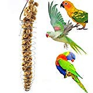 Bird Foraging Toy Parrot Fruit Vegetable Holder Feeder for Parakeet Cockatiel Conure African Grey Cockatoo Macaw Amazon Lovebird Finch Canary Rat Chinchilla Guinea Pig Cage Food Basket Tool (Metal)