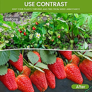 WEEDING 3ft x300ft Weed Barrier- 3.2oz Heavy Duty Woven Weed Barrier Landscape Fabric for Weeds Control, Pro Garden Ground Cover - Easy Setup& Convenient Design, Black