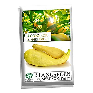 Crookneck Summer Squash Seeds for Planting, 30+ Heirloom Seeds Per Packet, (Isla's Garden Seeds), Non GMO Seeds, Botanical Name: Cucurbita moschata, Great Home Garden Gift